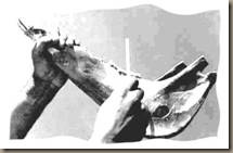 Blog de Artes Musicales: Etnia Rapa Nui